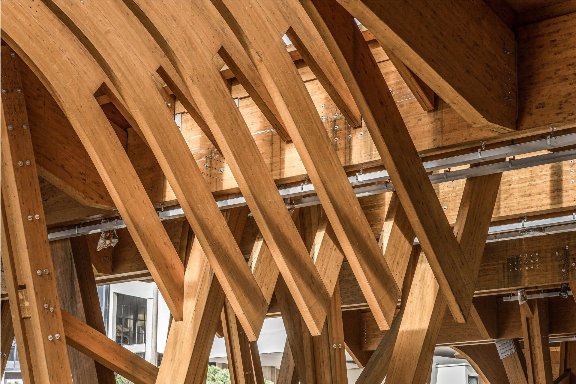 Reframed: The Future of Cities in Wood | Chicago Architecture Center