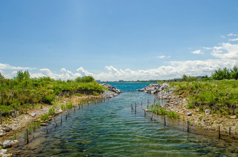 Northerly Island | Chicago Architecture Center